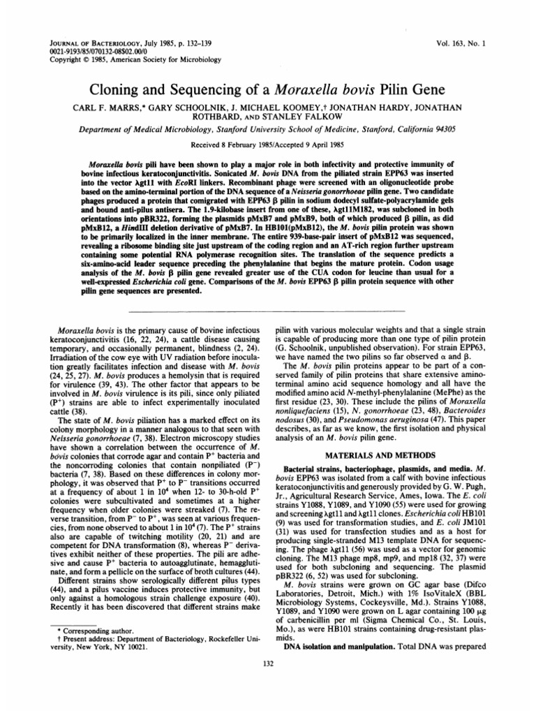 Marrs Et Al 1985 Cloning and Sequencing of A Moraxella Bovis Pilin Gene | PDF | Dna Ligase ...