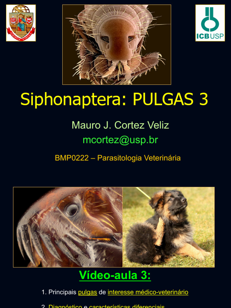 Pulgas: Diagnóstico e Controle Veterinário | PDF