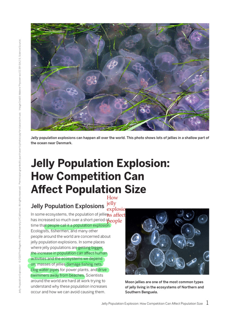 Jelly Population Explosion Reading Annotation | PDF | Overfishing | Fish