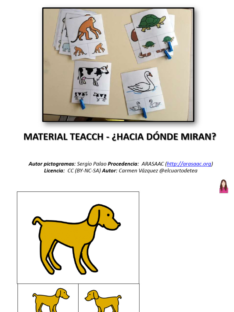 Material TEACCH Hacia Donde Miran | PDF