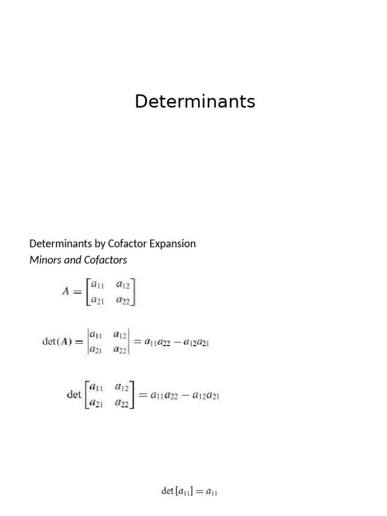 Determinants | PDF