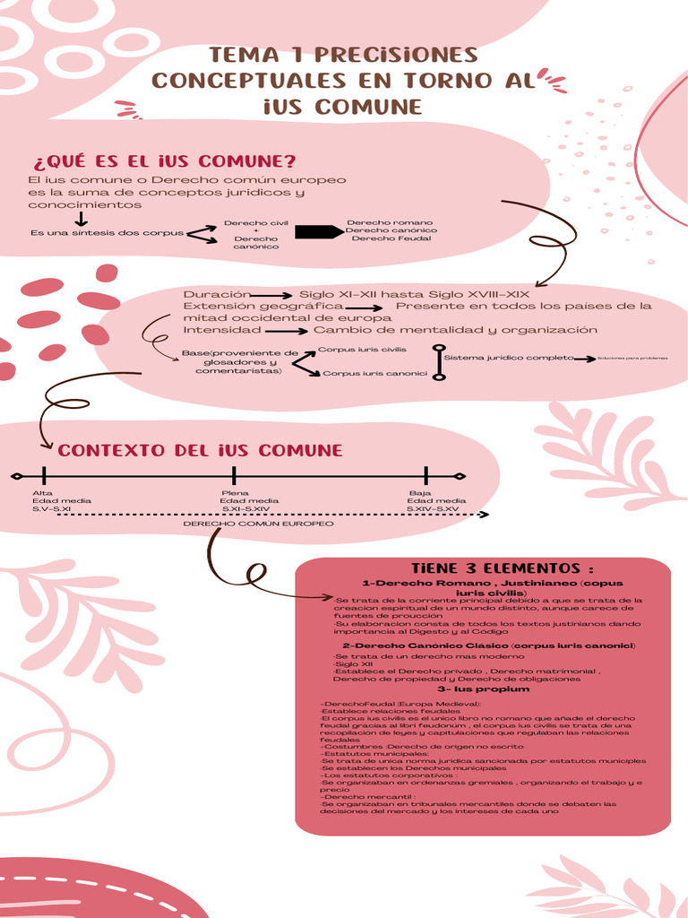 Infografia Tema 1 | PDF | Jurisprudencia | Justicia