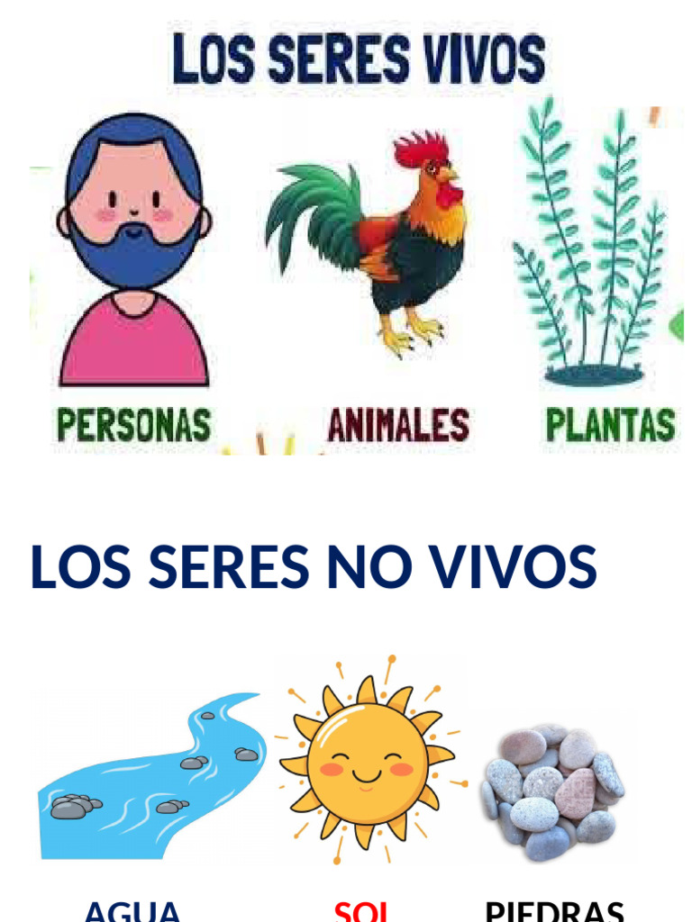 LOS SERES Vivos y NO VIVOS | PDF