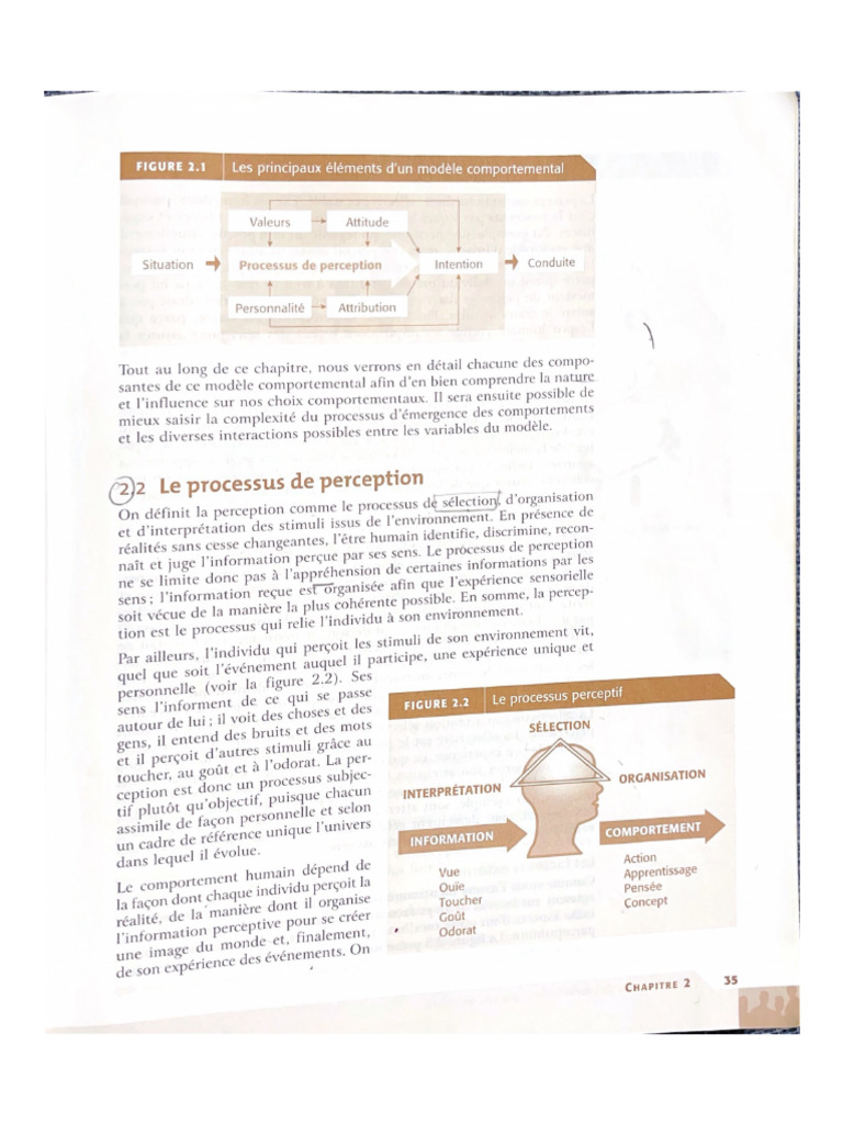 2) 2 Le Processus de Perception | PDF
