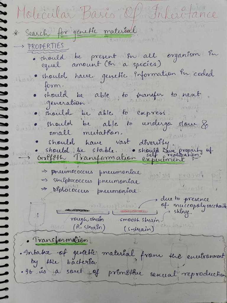 Molecular Basis of Inheritance Notes | PDF