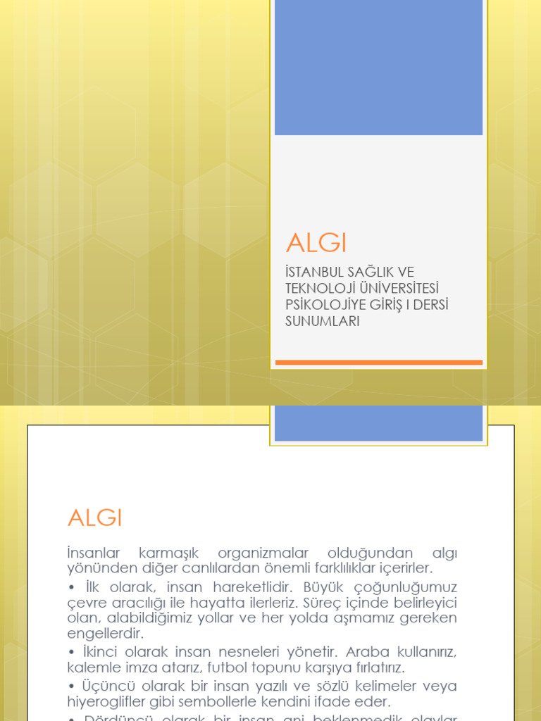 ALGI | PDF