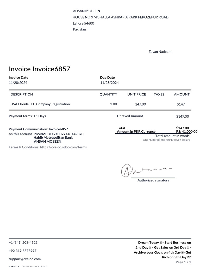 Business Invoice for USA LLC | PDF