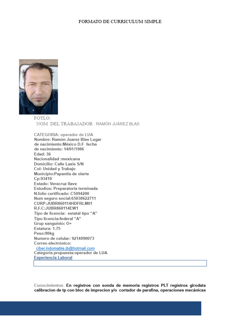 CV Ramon Juarez Blas 2024 | PDF