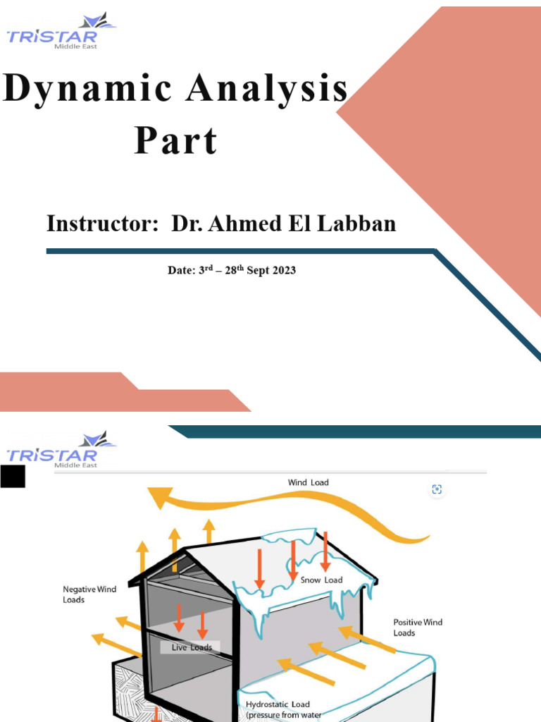 Dynamic Analysis | PDF Dynamic Analysis | PDF