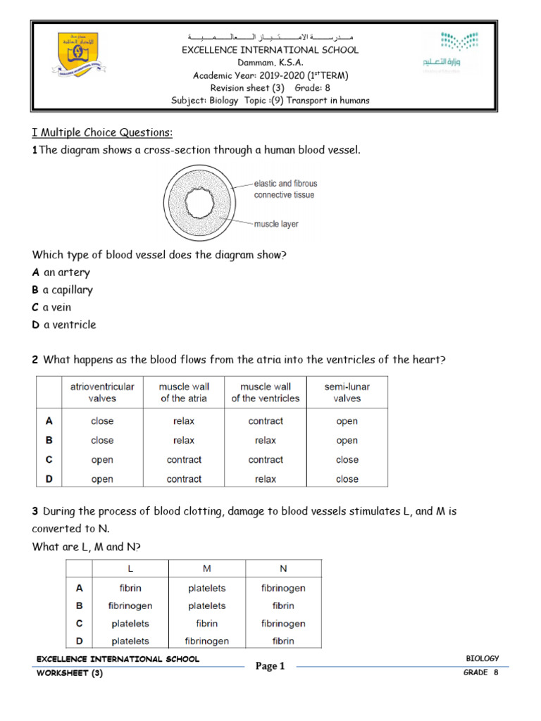 Revision - Sheet.chapter 9 Transport in Animals | PDF | Heart | Artery