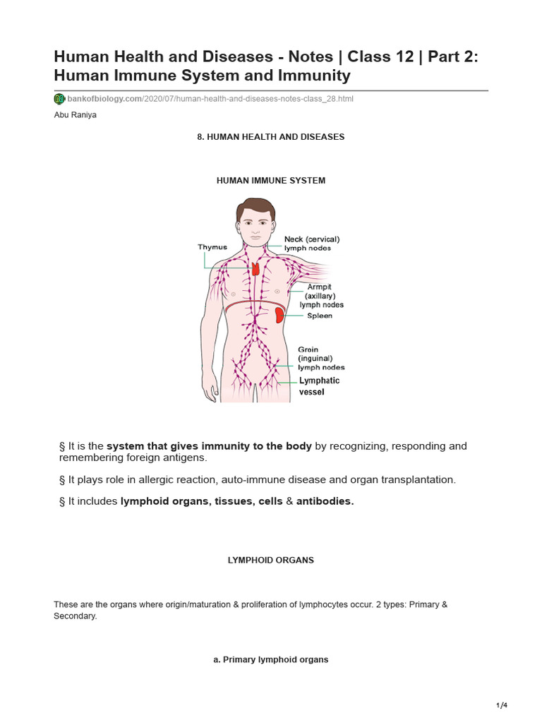 Human Health and Diseases - Notes Class 12 Part 2 Human Immune System ...
