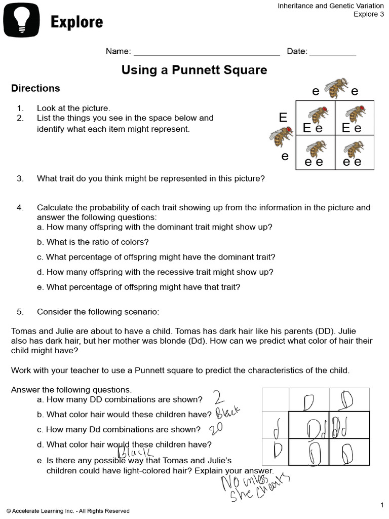 Punnett Square Practice for Traits | PDF | Dominance (Genetics) | Genotype