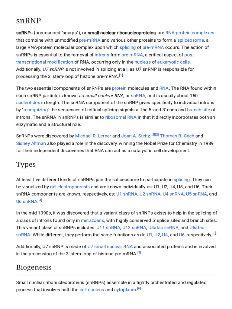snRNP - Wikipedia | PDF | Rna Splicing | Nucleotides