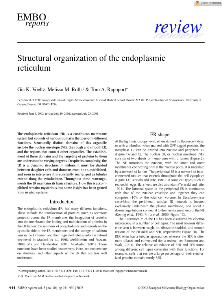 Voeltz Et Al 2002 Structural Organization of The Endoplasmic Reticulum | PDF | Endoplasmic ...