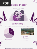 Erio-Equipo de Respuesta Inmediata Obstetrica | PDF | Reproducción ...