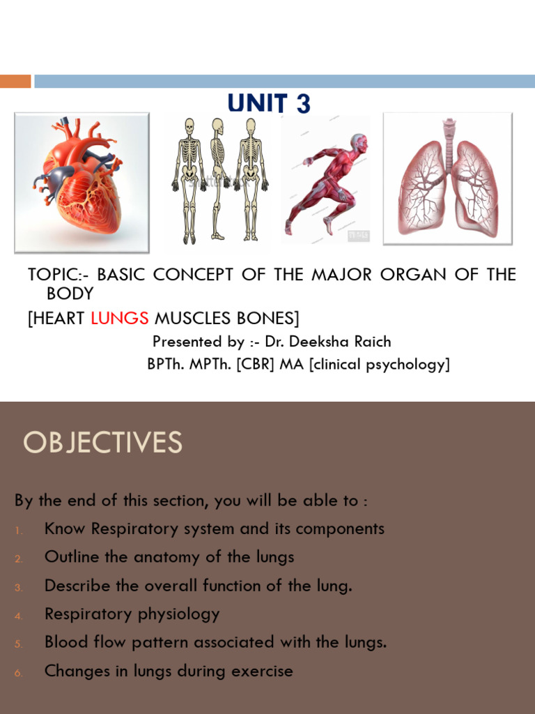 6 Lungs Physiology PDF | PDF