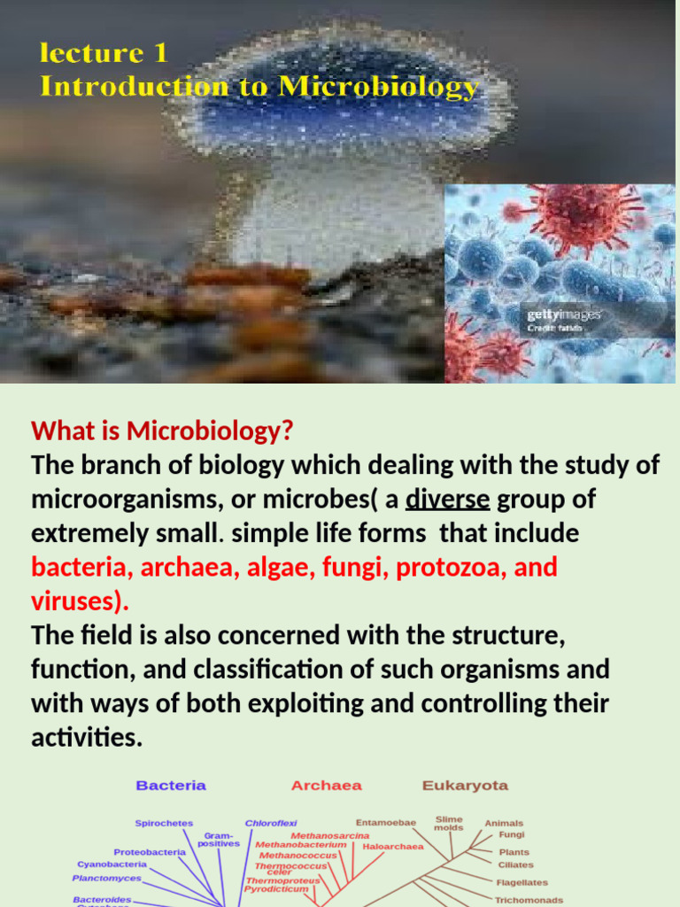 Introduction to Microbiology م1 | PDF | Microorganism | Prokaryote