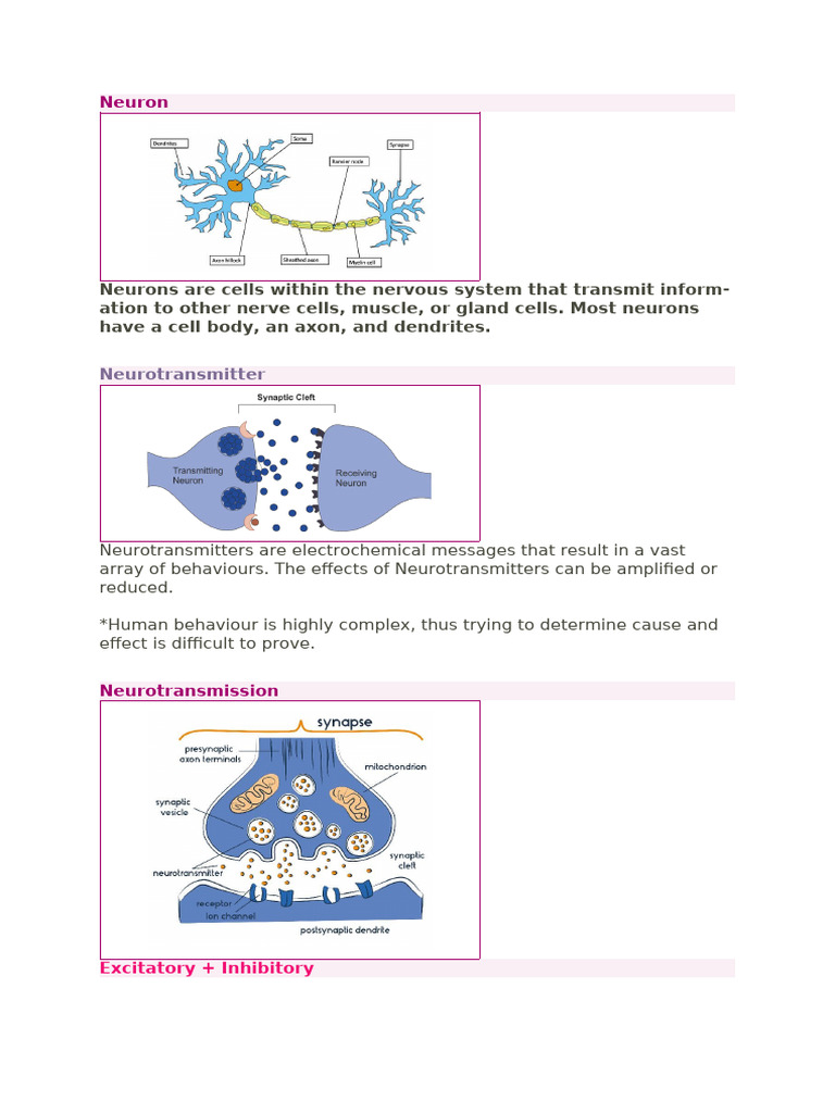 Neurotransmitters. Study Pool | PDF