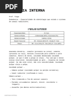 Anatomia do Dente 27: Molar Superior | PDF | Raiz | Dente