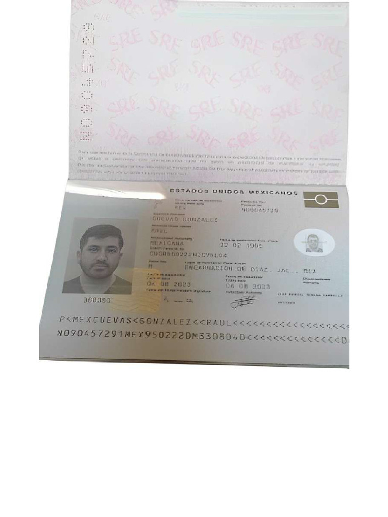 Pasport Removebg Preview (1) | PDF