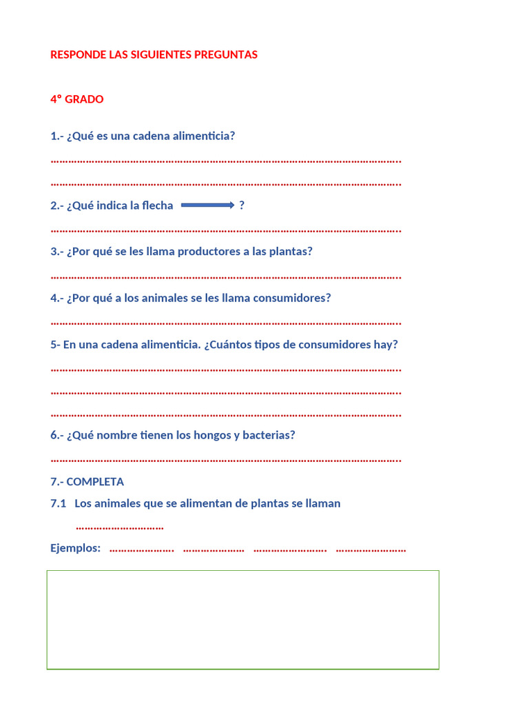 Preguntas sobre Cadenas Alimenticias 4º Grado | PDF