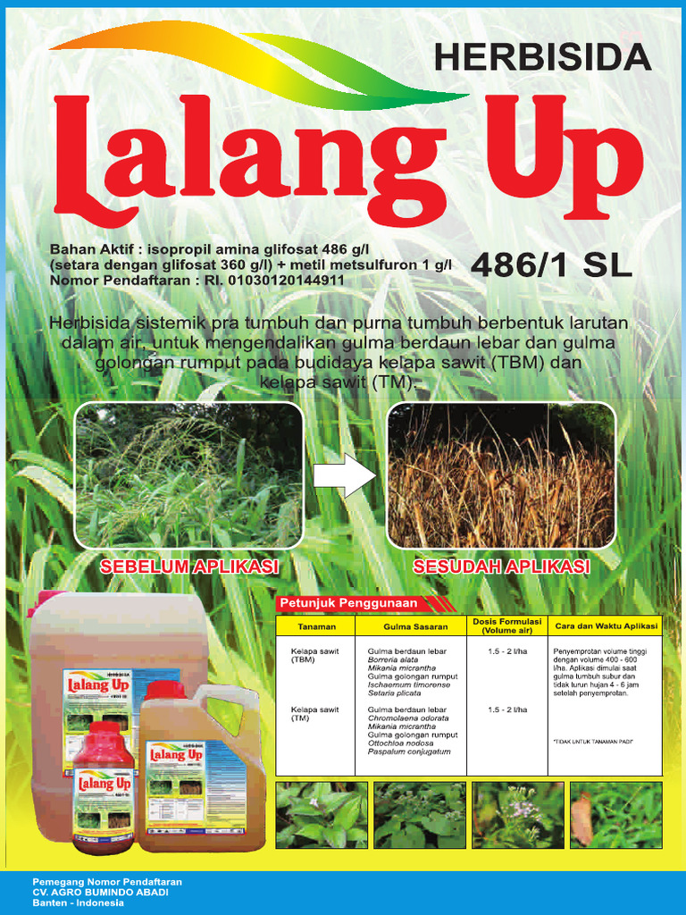 Brosur Lalang Up PDF | PDF