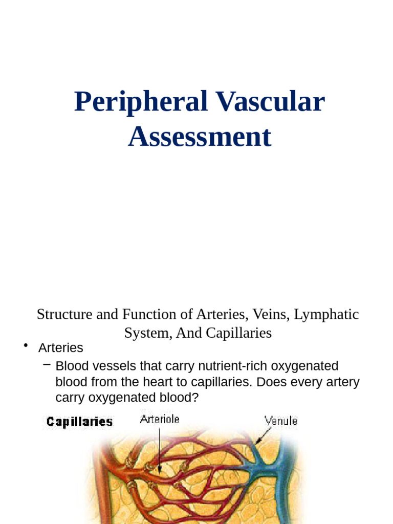 Peripheral Vascular System Assessment | PDF | Vein | Blood Vessel