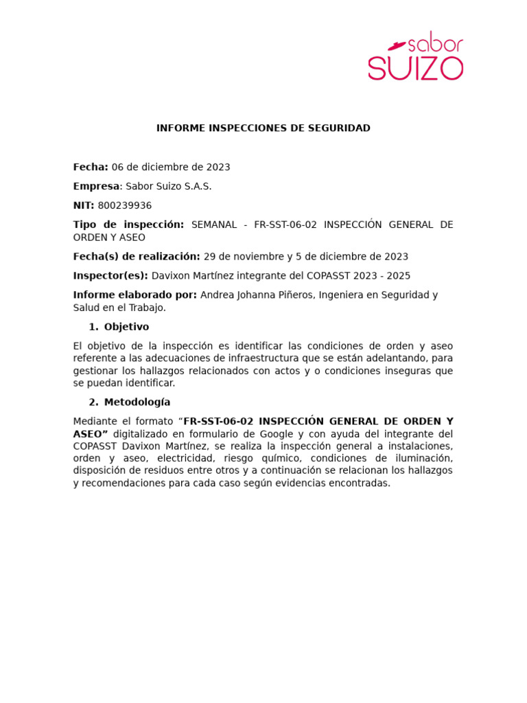 Informe Inspecciones de Seguridad Orden y Aseo | PDF