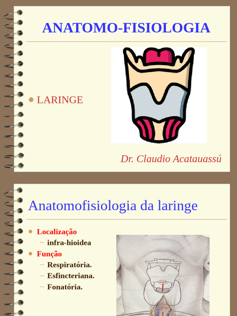 Anatomofisiologia da Laringe: Funções e Estruturas | PDF | Laringe ...