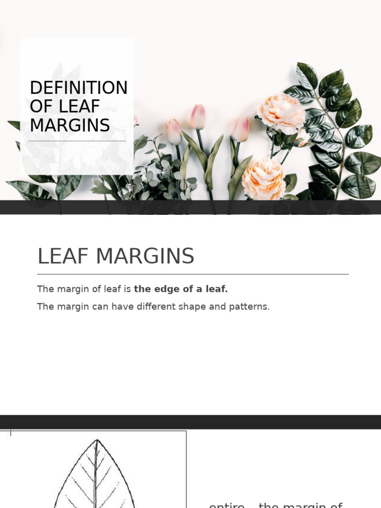 Definition of Leaf Margins | PDF