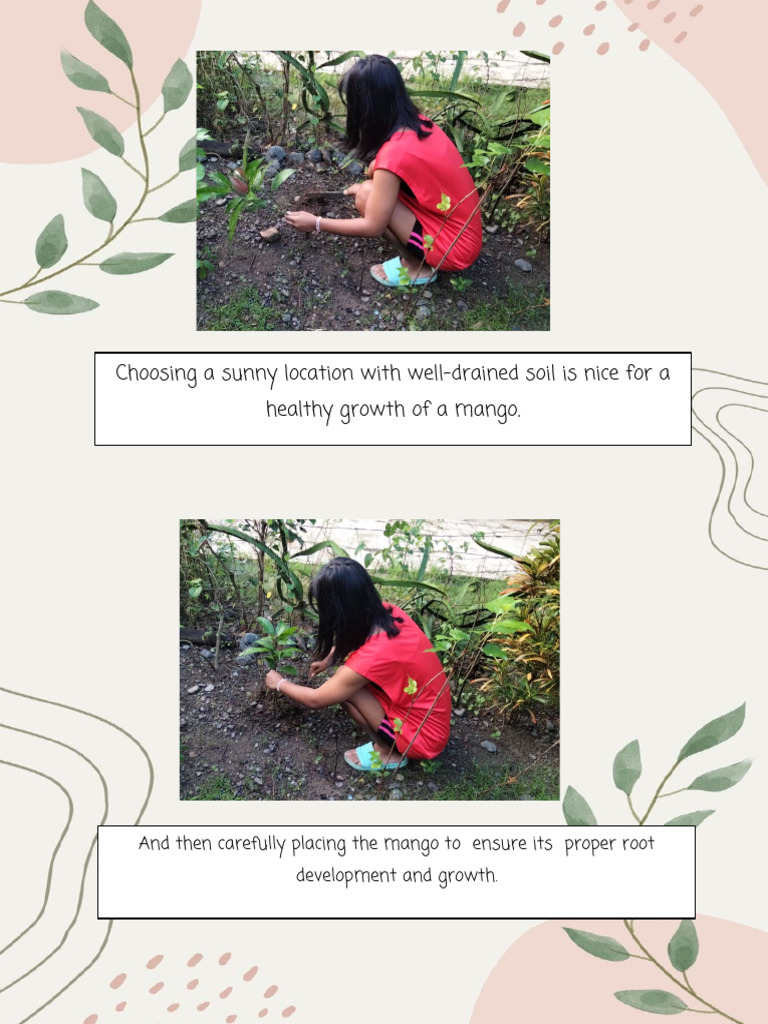 Tree Planting | PDF