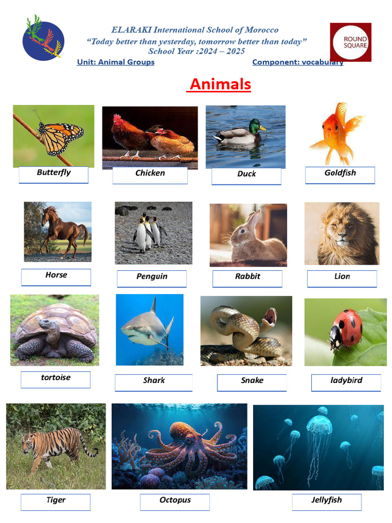Animals | PDF