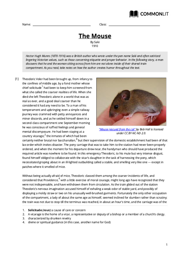 The Mouse | PDF