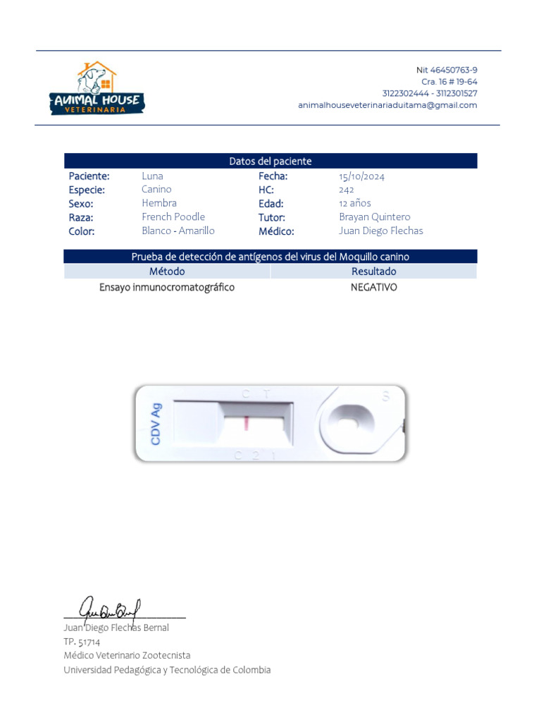 CDV Ag TEST LUNA QUINTERO 15-10-2024 | PDF
