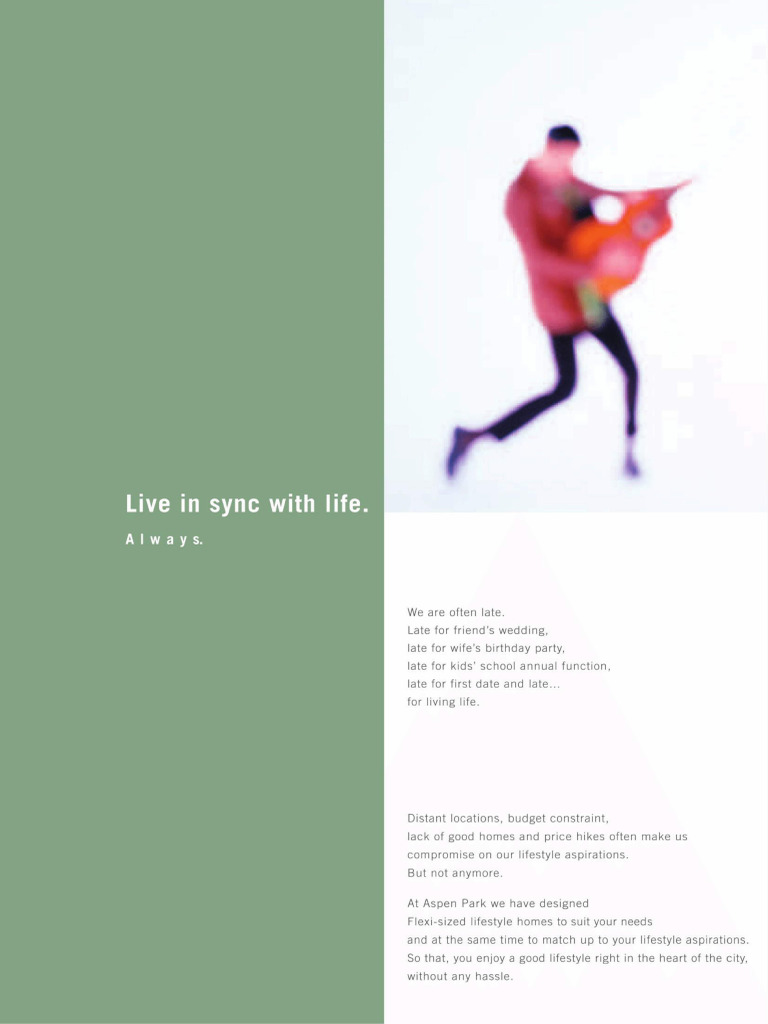 Aspen Park E Brochure | PDF