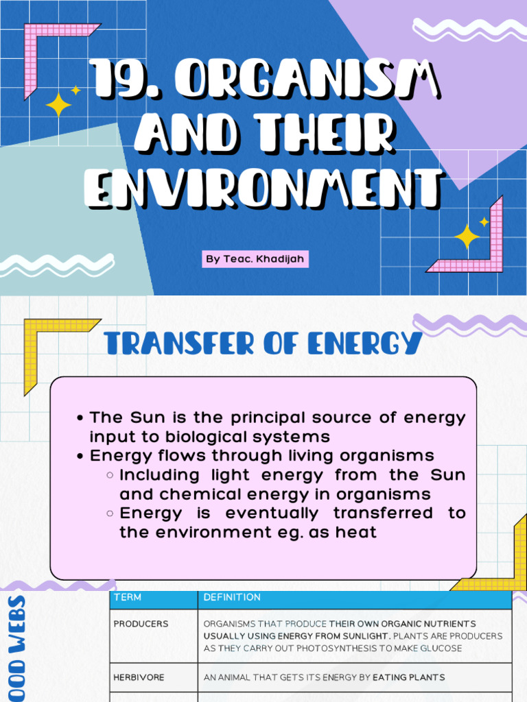 Chapter 19 organism and their environment | PDF | Food Web | Nitrogen Chapter 19 organism and their environment | PDF | Food Web | Nitrogen