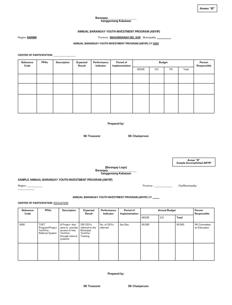3.4 SK MC - Annex B Abyip SK Full Public Disclosure - Template 1 | PDF | Youth | Youth Organizations