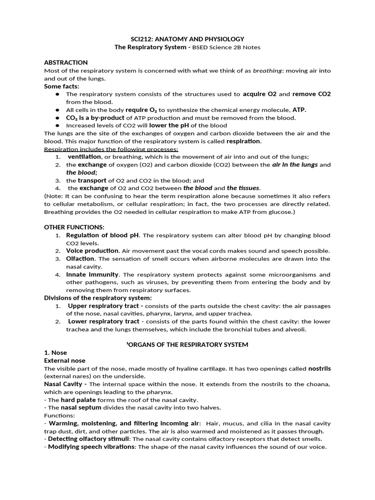 Respiratory System Study Guide | PDF | Lung | Respiratory Tract