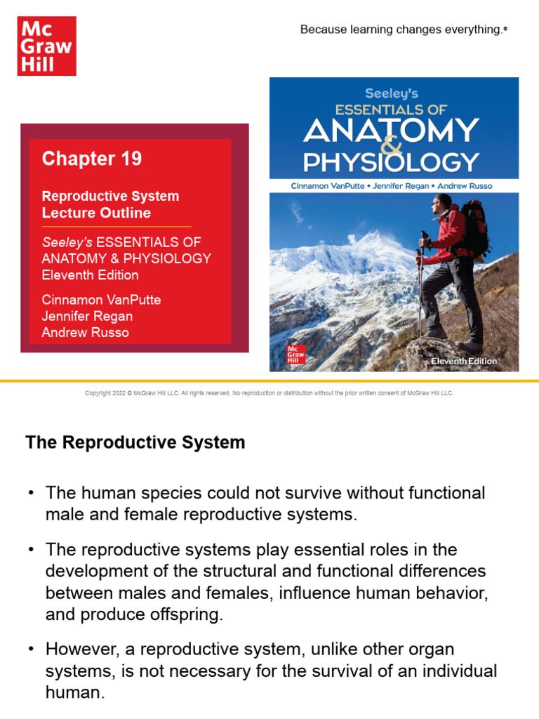19 Reproductive System | PDF | Menstrual Cycle | Ovary