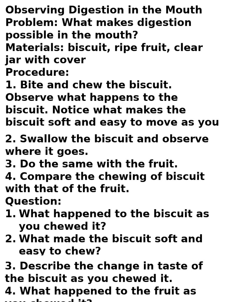 Activity Digestive System | PDF