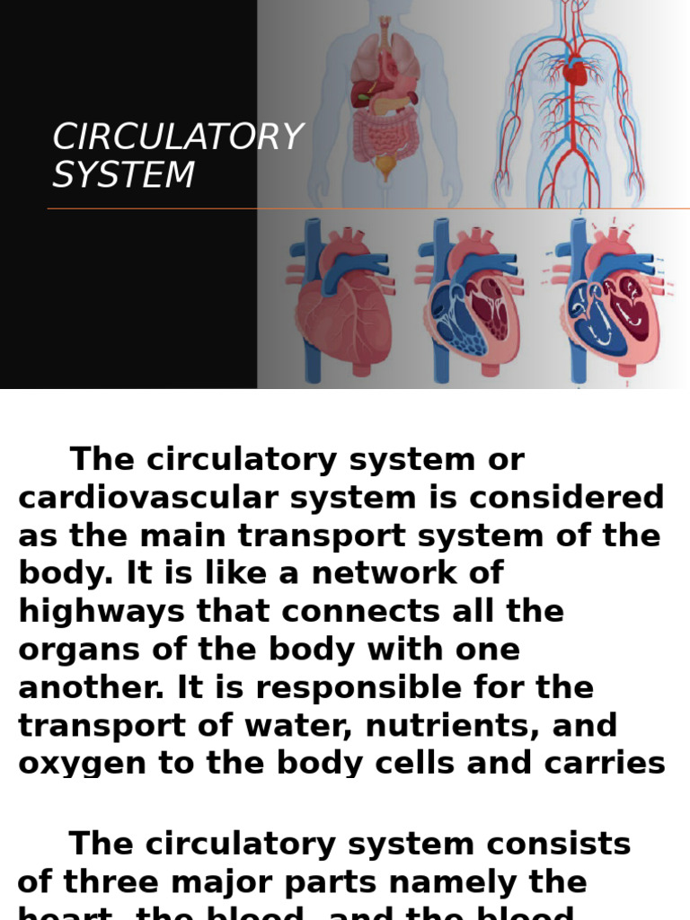 Circulatory System | PDF | Heart | Blood