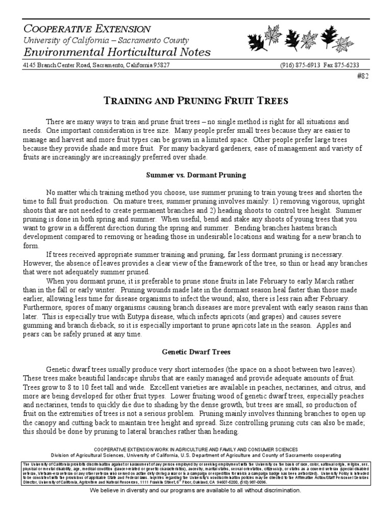 Training And Pruning Fruit Trees For Backyard Gardens A Guide To Open