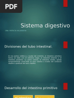 Persistencia del Conducto Onfalomesentérico | PDF | Anatomía ...