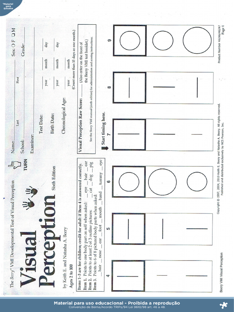 Visual Perception Imprimir | PDF