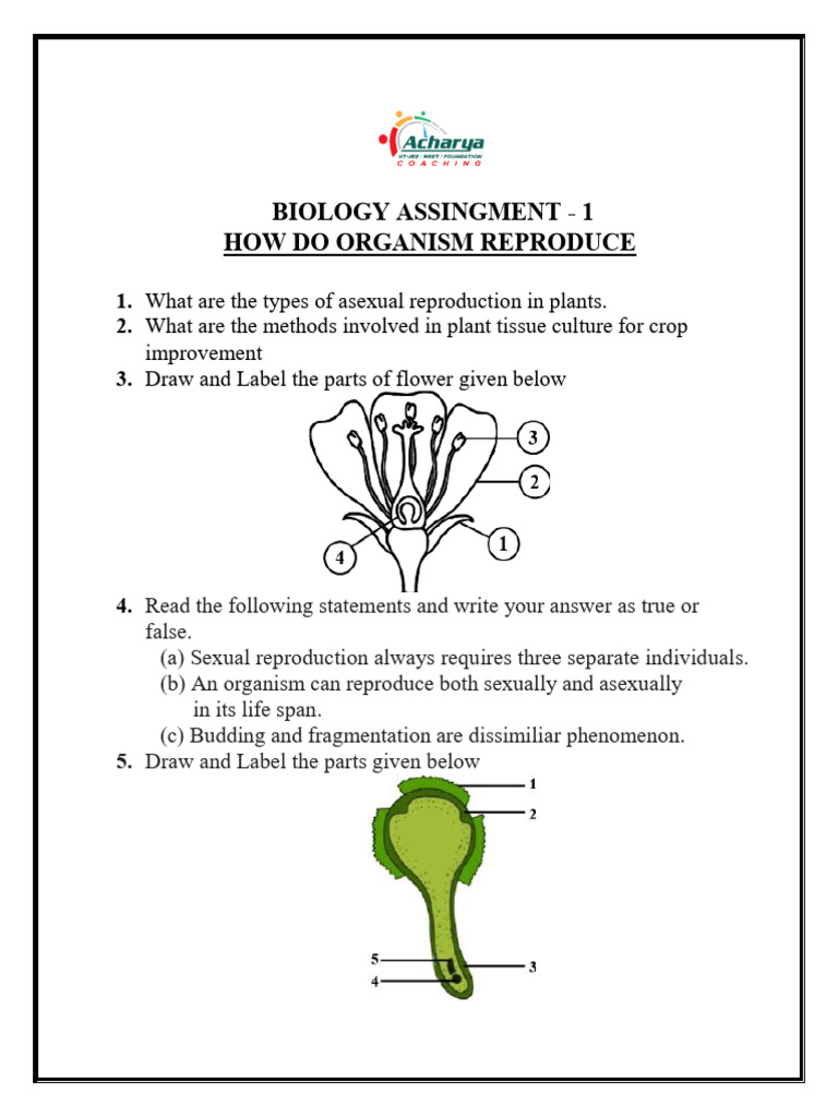 BIOLOGY ASSIGNMENT Class 10 practice | PDF