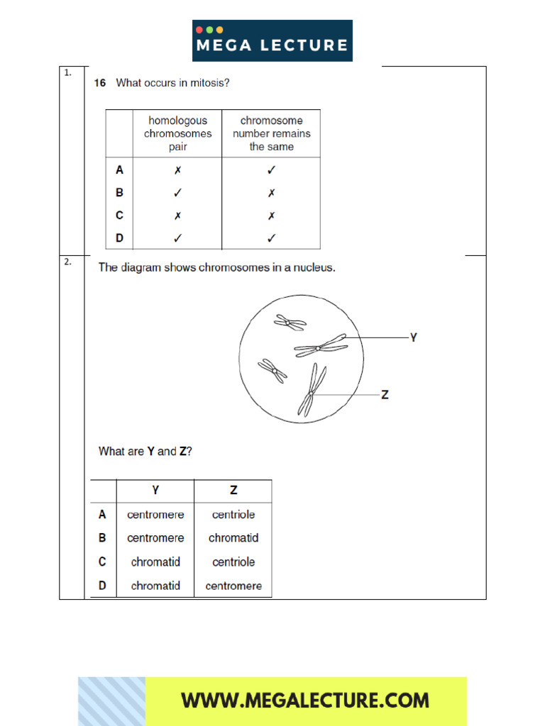 Contact Information for MegaLecture | PDF