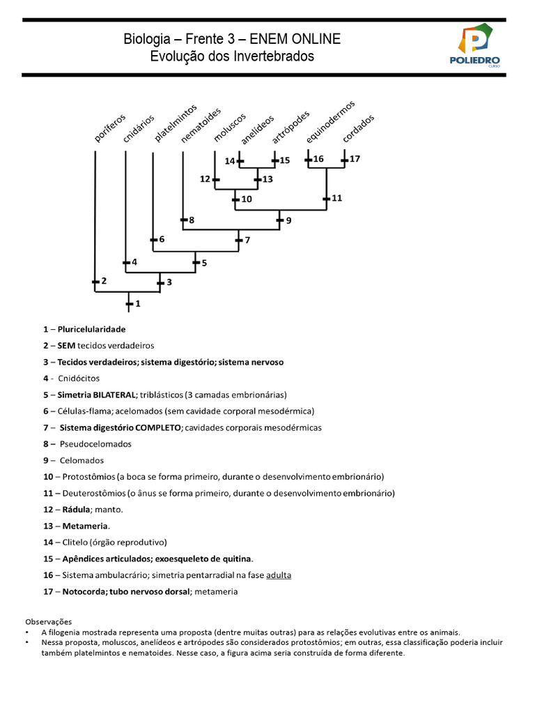 Filogenia - Evolucao Dos Invertebrados | PDF