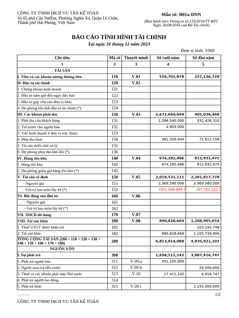 B01a DNN Bao Cao Tinh Hinh Tai Chinh | PDF