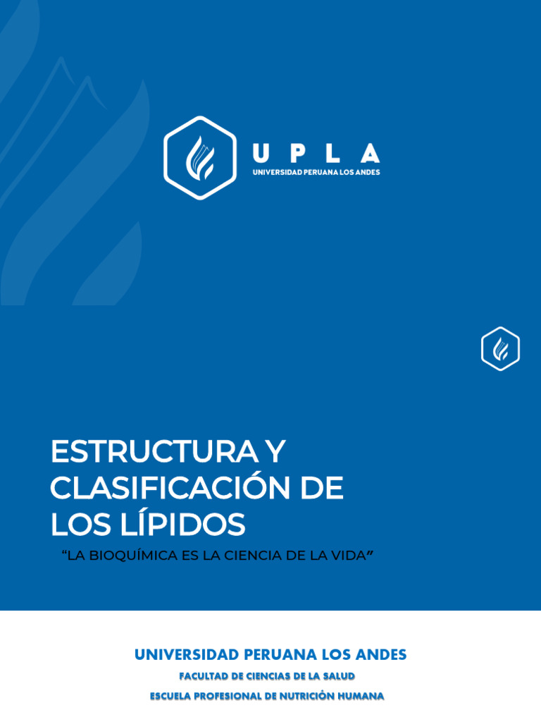 TEMA 13. ESTRUCTURA Y CLASIFICACION DE LIPIDOS | PDF | Lípido | Ácido graso