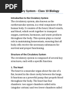 Class 10 Circulatory System Detailed Notes | PDF | Heart | Artery